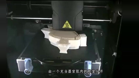 3D打印器官获得重大突破,人类有望获得永生