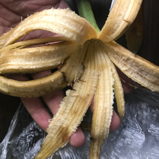 飒罗 