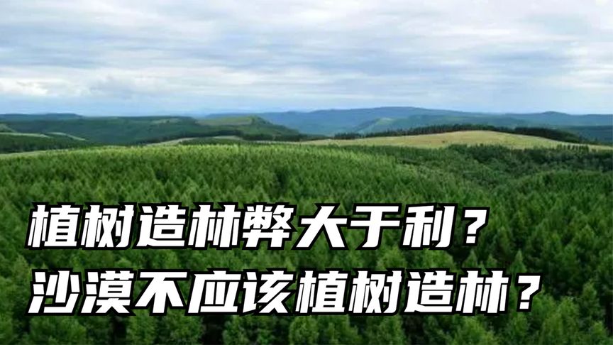 植树造林弊大于利?沙漠不应该植树造林?英国教授:中国人太天真