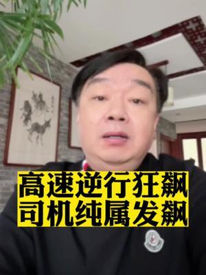 高速逆行狂飙,司机纯属发飙 #交通安全 #安全出行 #交通事故 #危险...