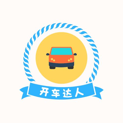 开车达人 