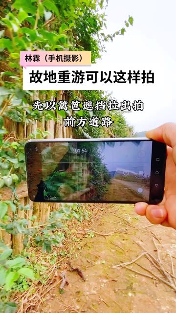 一个人是怎么拍视频的?今天小教程来了