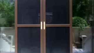 单轨推拉对碰金刚门