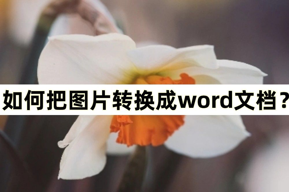 如何把图片转换成word文档?教你转换小技巧