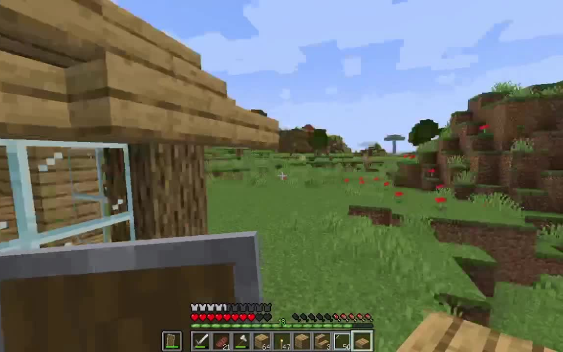 《我的世界》1.17服务器生存4