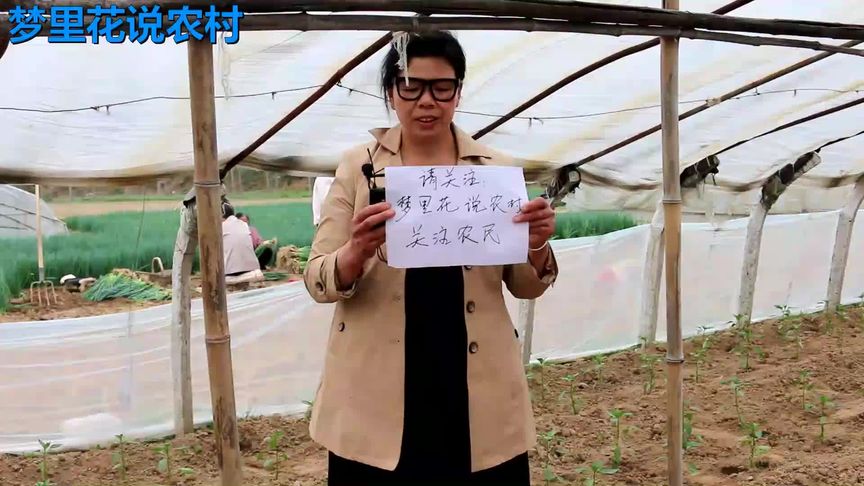 走进农村,今天带大家一起了解一下,辣椒的种植方法与管理技巧。