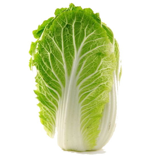 白菜先生科技 