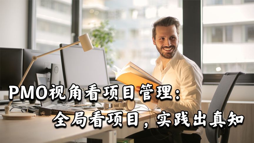 PMO视角看项目管理:全局看项目,实践出真知