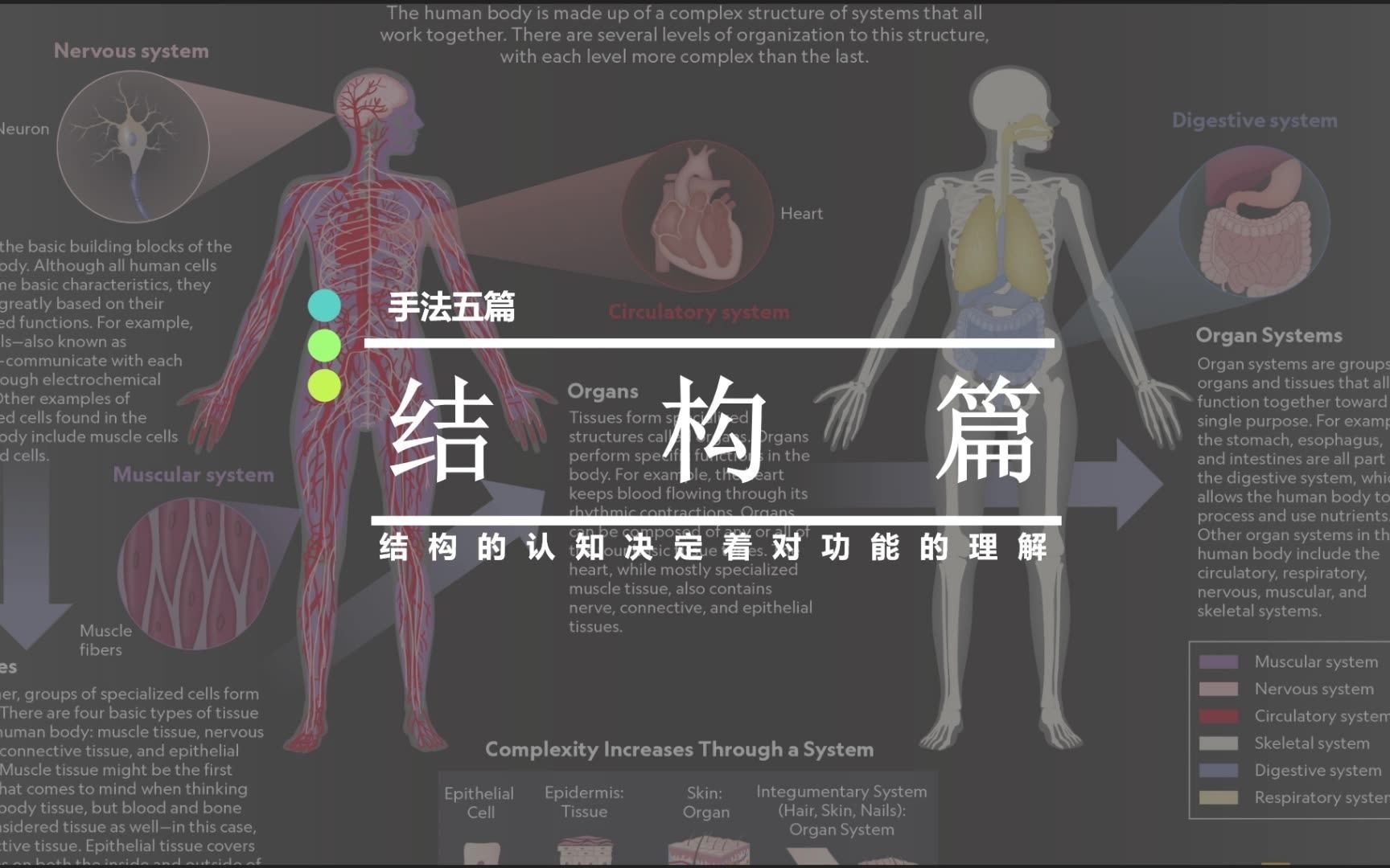 手法五篇の结构篇——推拿、按摩、正骨等手法为何有那么多表现形式...