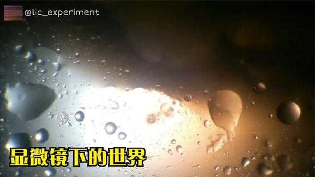 显微镜下的微观世界,太精彩了,你来看看