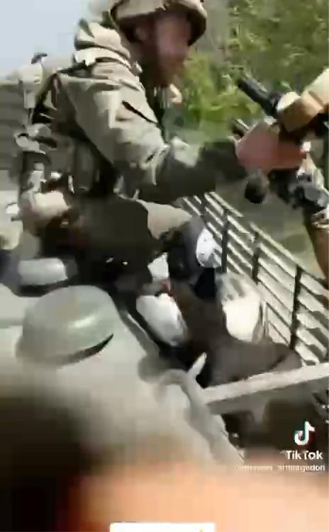 战争实录 乘坐军车的乌克兰士兵