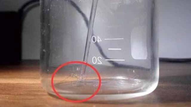 老外科学实验,滴几滴氨气让蚊子吸入,没几秒就凉凉了!