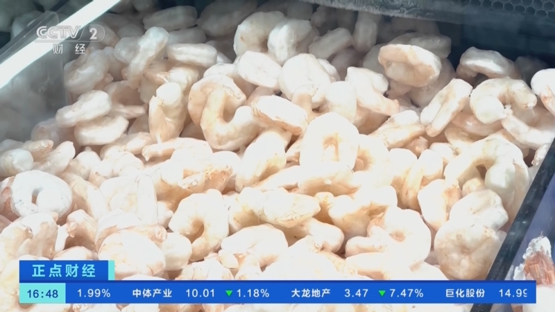 [正点财经]广东湛江:活虾价跌量增 冻虾面临库存压力