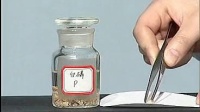 验证质量守恒定律——白磷的燃烧(1)
