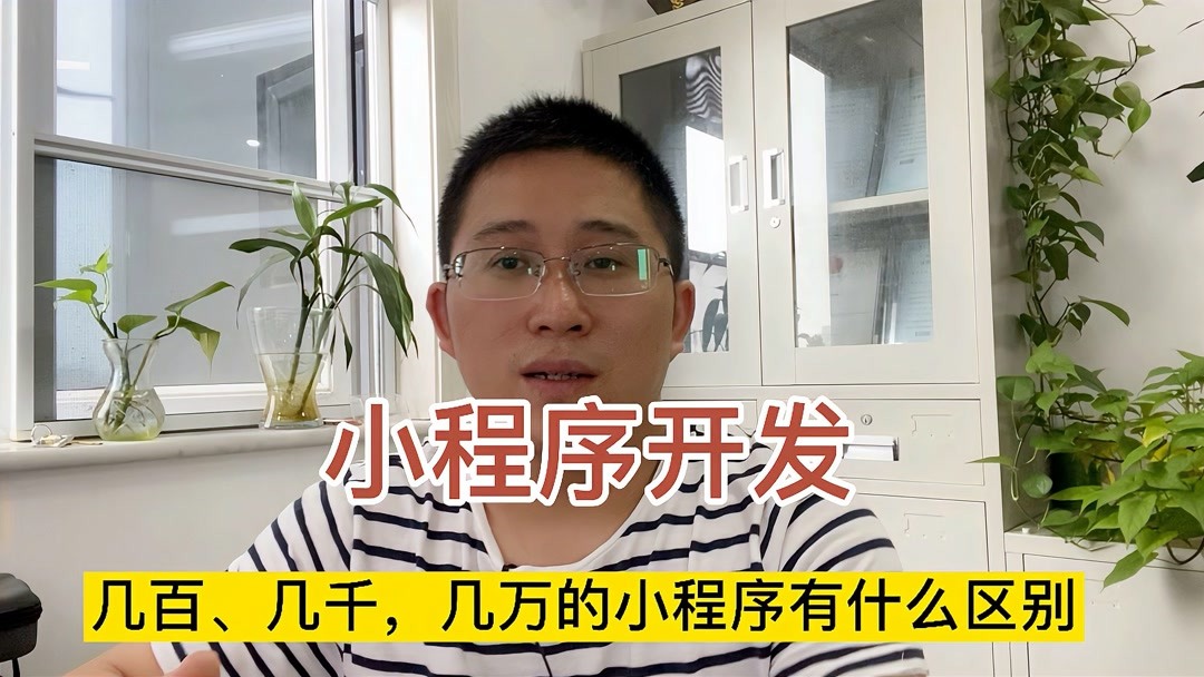 振国创业分享:几百、几千、几万商城小程序开发什么区别?