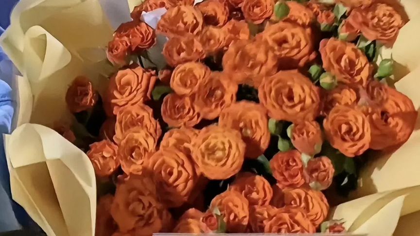 #樱花校园模拟器 #樱校 #樱校声控跑酷素材 #Melody团队奈奈子