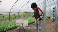 阿亮的三农:帅哥尝试独轮手推车,讲解车子发明和里程