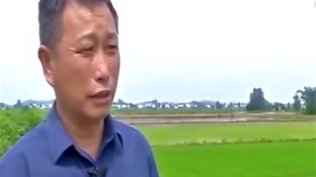 稻虾无环沟综合种养 冬季和春季蓄水养虾 夏季秋季种植中稻和晚稻