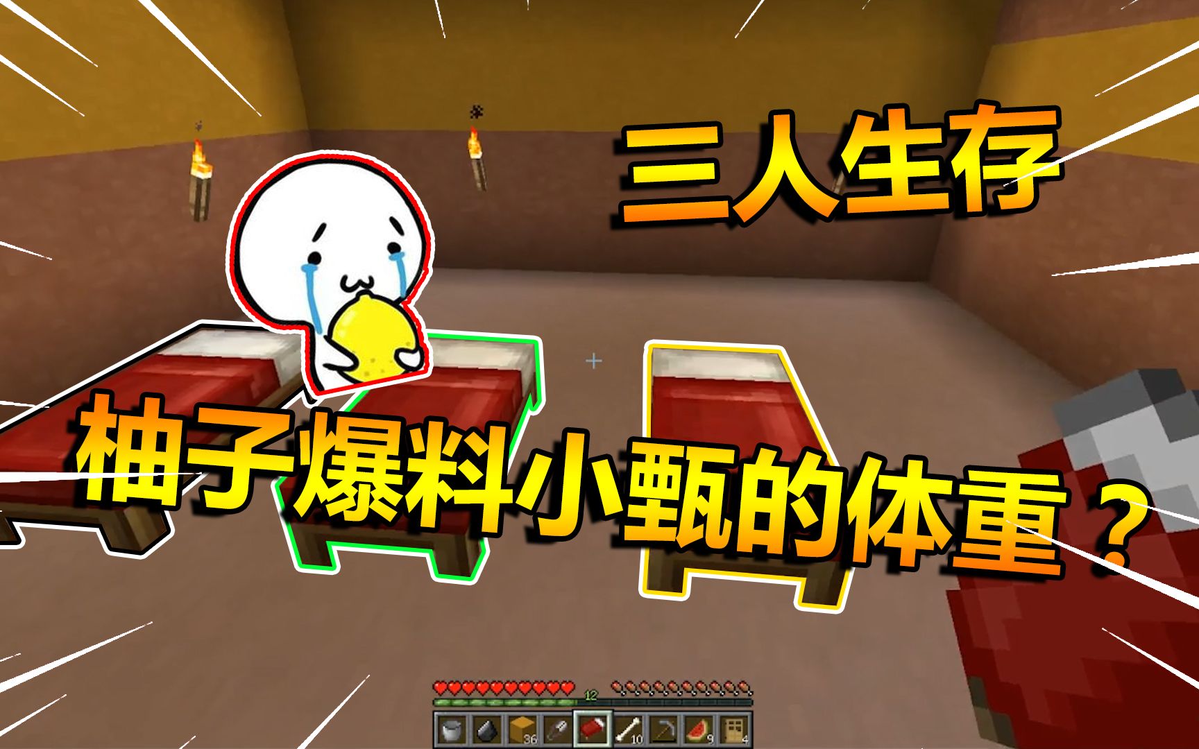 我的世界匠魂血月06:重建家园,五毛柚子联手整蛊小甄?