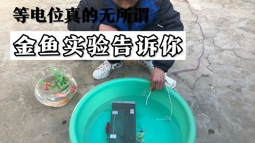 等电位真的无所谓,用电安全最后一道防线,金鱼实验告诉你