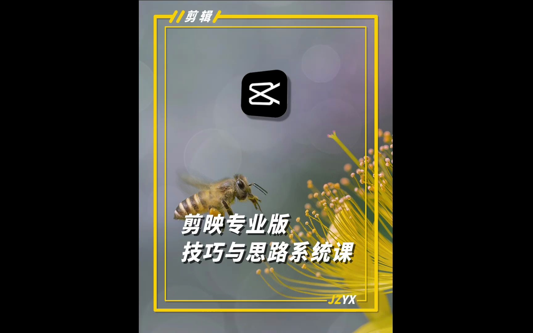 【全网最全】剪映专业版技巧与思路系统课