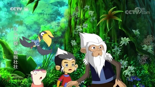 《白头叶猴之嘉猴壮壮1 森林使者》 第2集 白眉长老的决定