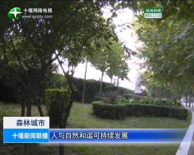 创建国家森林城市及其意义