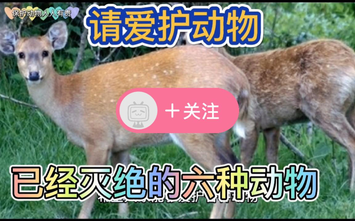 国内已灭绝的六种野生动物