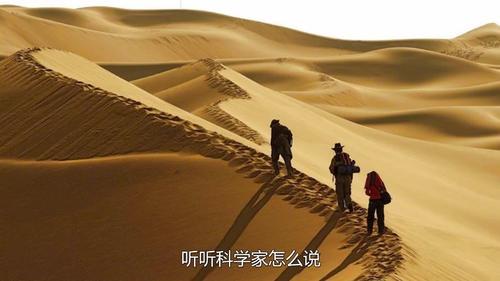 如果地球上的沙漠都变成森林,会产生什么后果?听听科学家怎么说