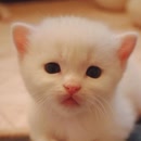 贝贝点点亲子益智乐园 