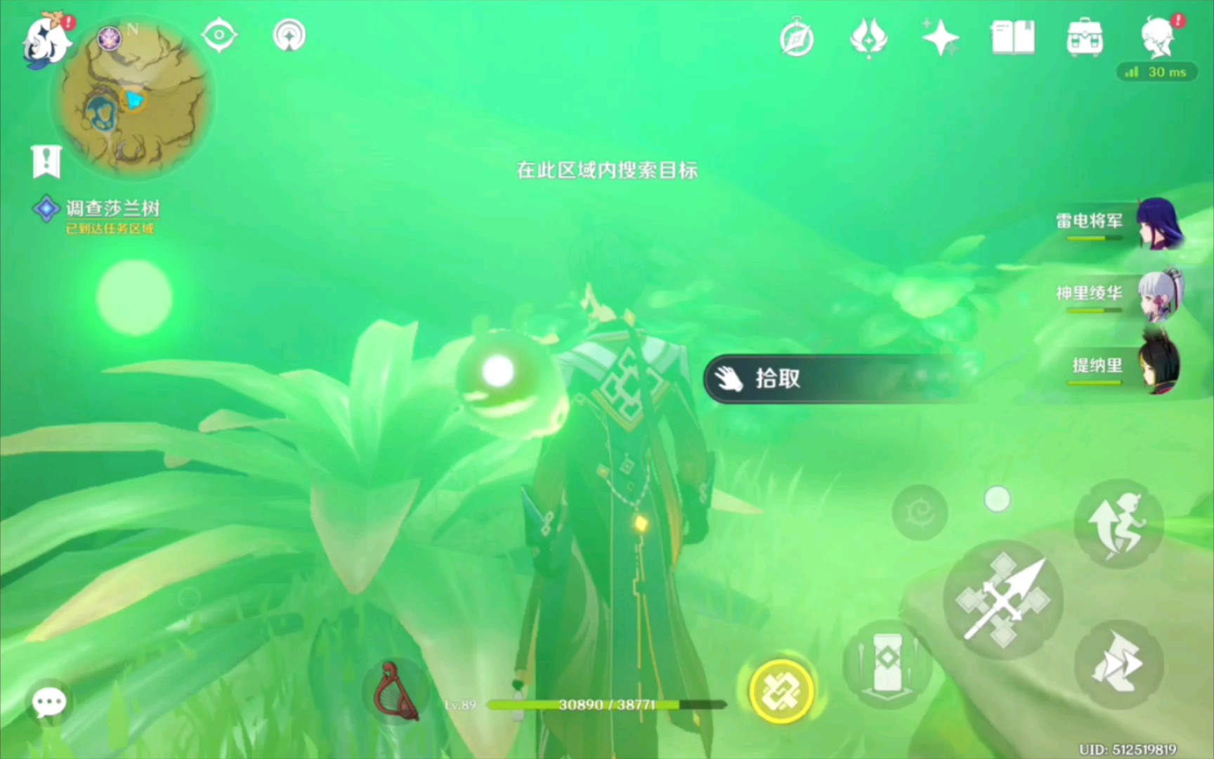 【原神】恒素果