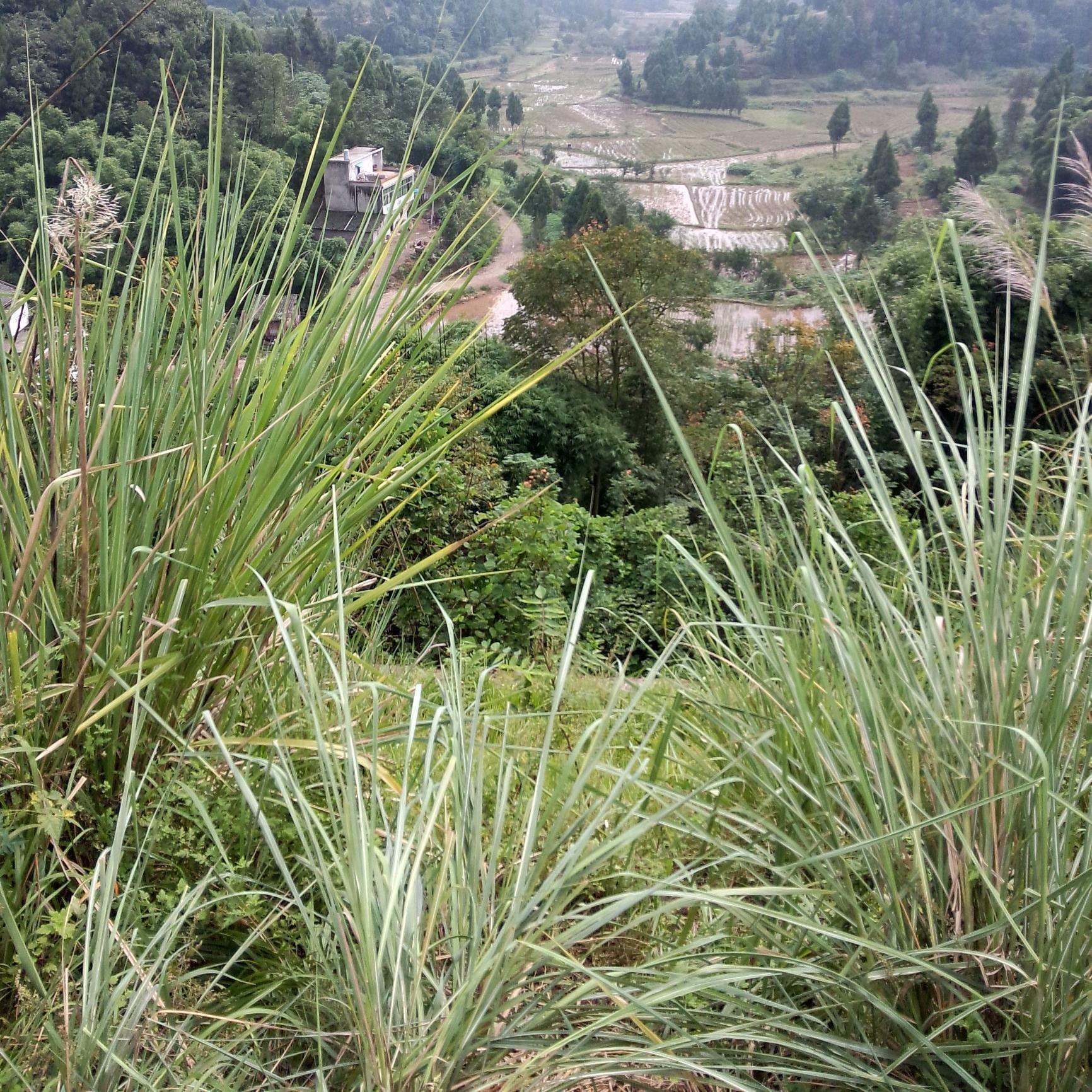 快乐肉子轻松一刻 