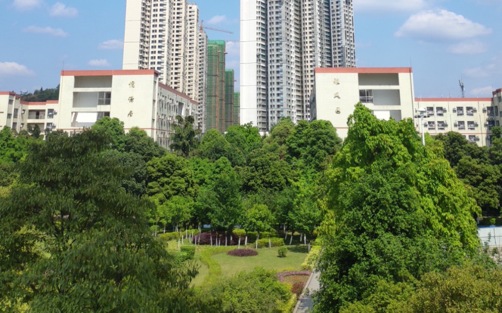 [心理咨询室]Au老师带你去看心理咨询室2.0(今天不仅露脸了,甚至还有...