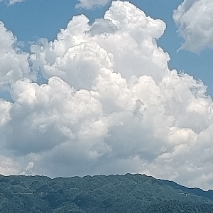王丨皇丨帝丨神 