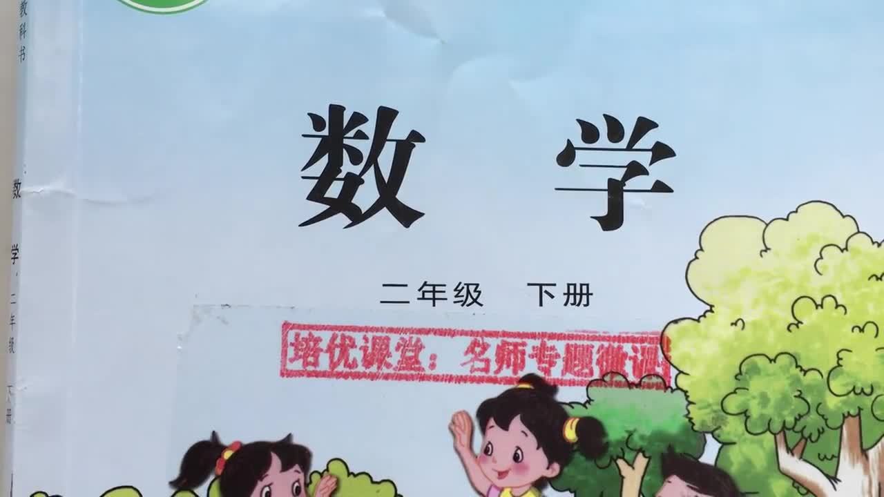 二年级数学下册 67 数据的收集和整理2 P93 名师