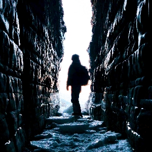 会走路的沙丁鱼 