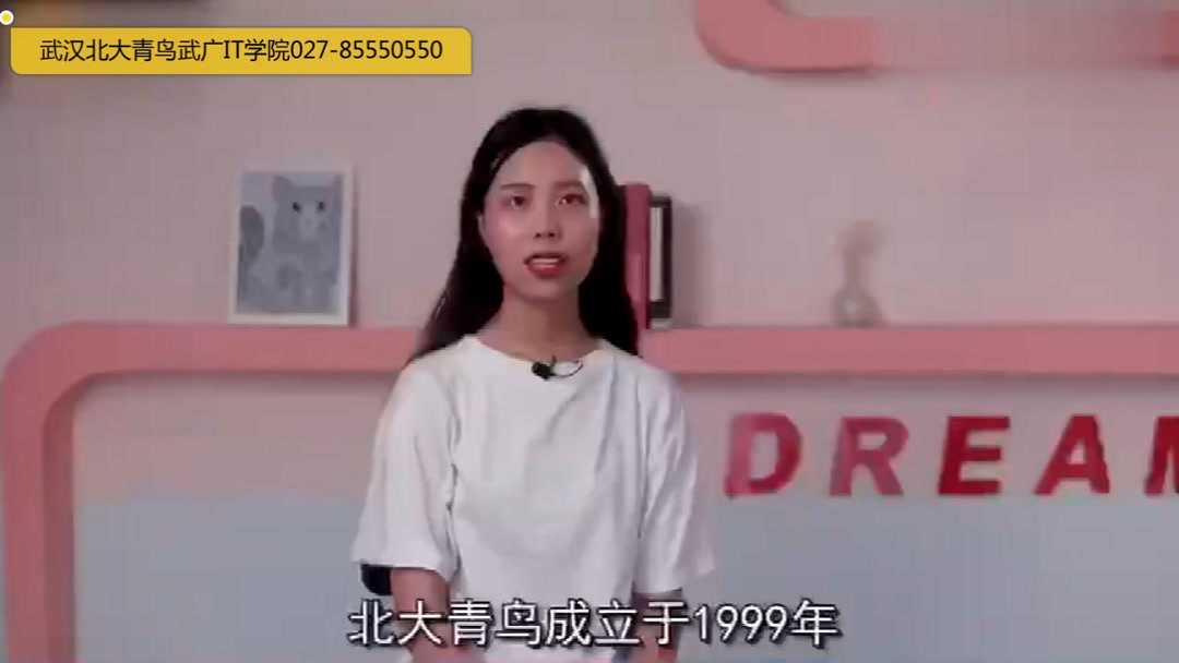 武汉北大青鸟武广IT学院~北大青鸟是什么学校