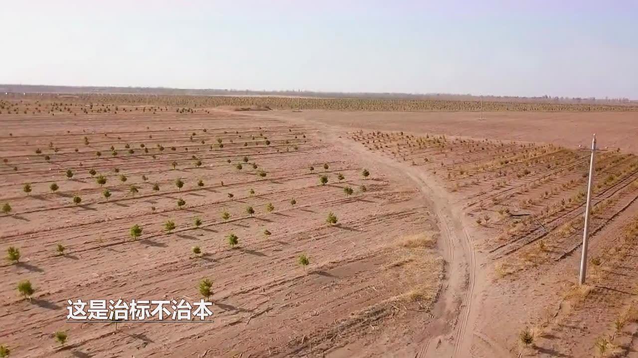 如果把全部的沙漠变成森林,会有啥后果?说出来你都不敢信