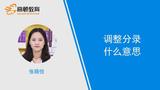 调整分录什么意思