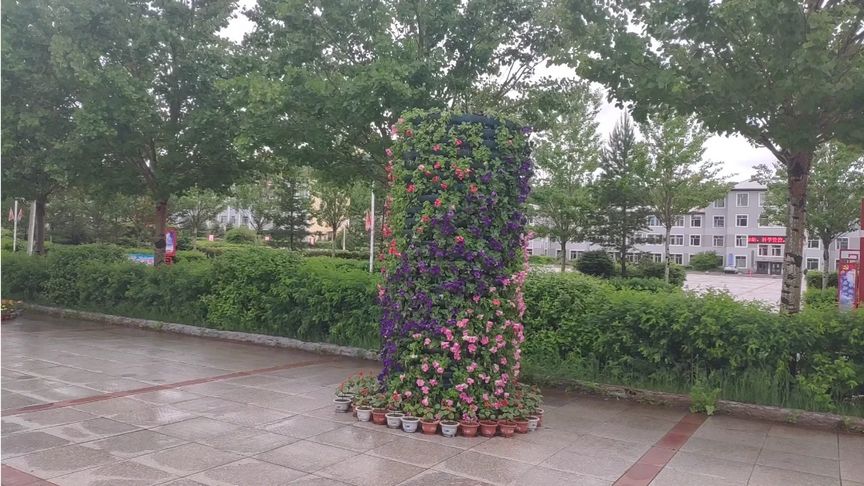 新林园林绿化栽植的花柱欢迎来观赏!