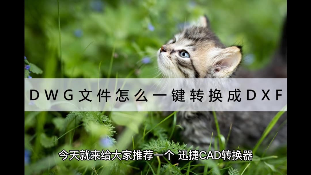 DWG文件怎么一键转换成DXF?用这个试试