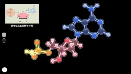 「生物」脱氧核糖核苷酸