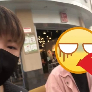 不会玩轻中坦的狐狸 