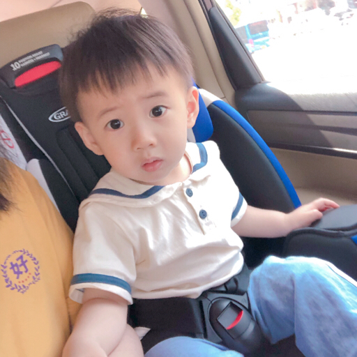 捣鼓捣鼓出息的胖呼呼 