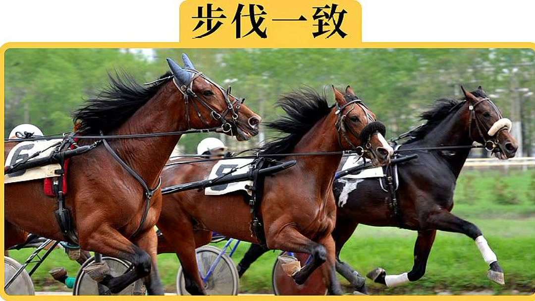 汽车正时皮带到底多久更换1次?如果到时间不换,影响有多大?