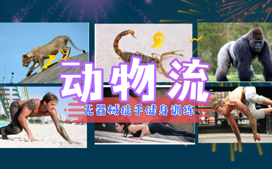 ...Flow】秒杀波比跳 | 风靡欧美无器械徒手健身 | 运动员宝藏训练方式