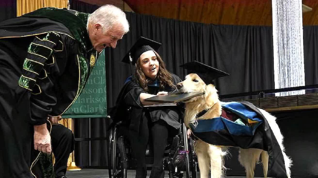 世界上学历最高的狗,被授予硕士学位,真实原因让人感动