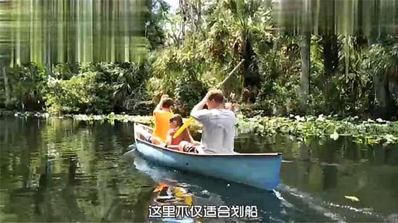 惬意!做一只船桨,在加拿大的湖光里划船!