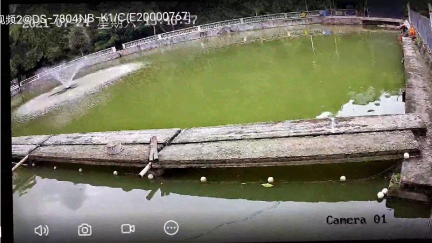 划船不靠桨 全凭一个浪,今日帅哥包塘