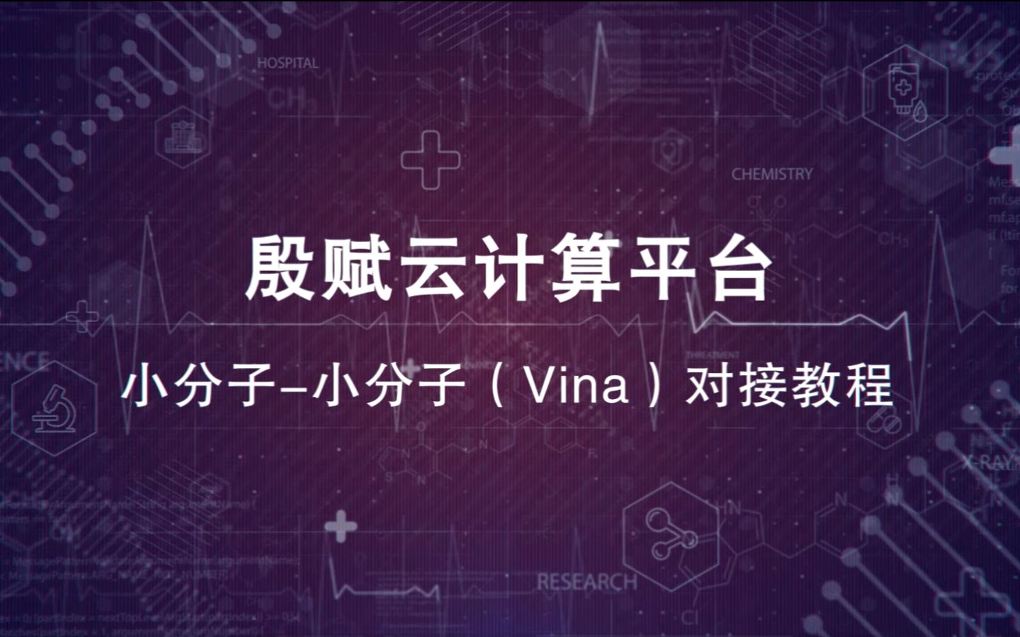 小分子-小分子(Vina)